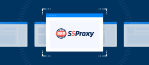 What Causes a 502 Proxy Error and How to Resolve It?
